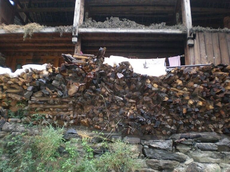 Why Use Walnut Wood for Burning? Heat, Burn Time, & Quality Explained