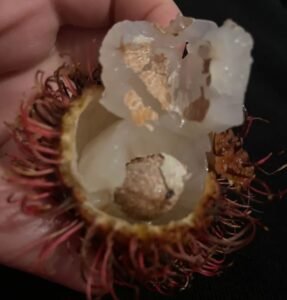 7 Signs Your Rambutan Has Gone Bad and How to Spot Them